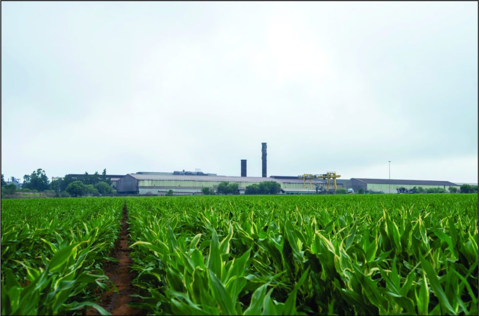 Home | Highveld Industrial Park